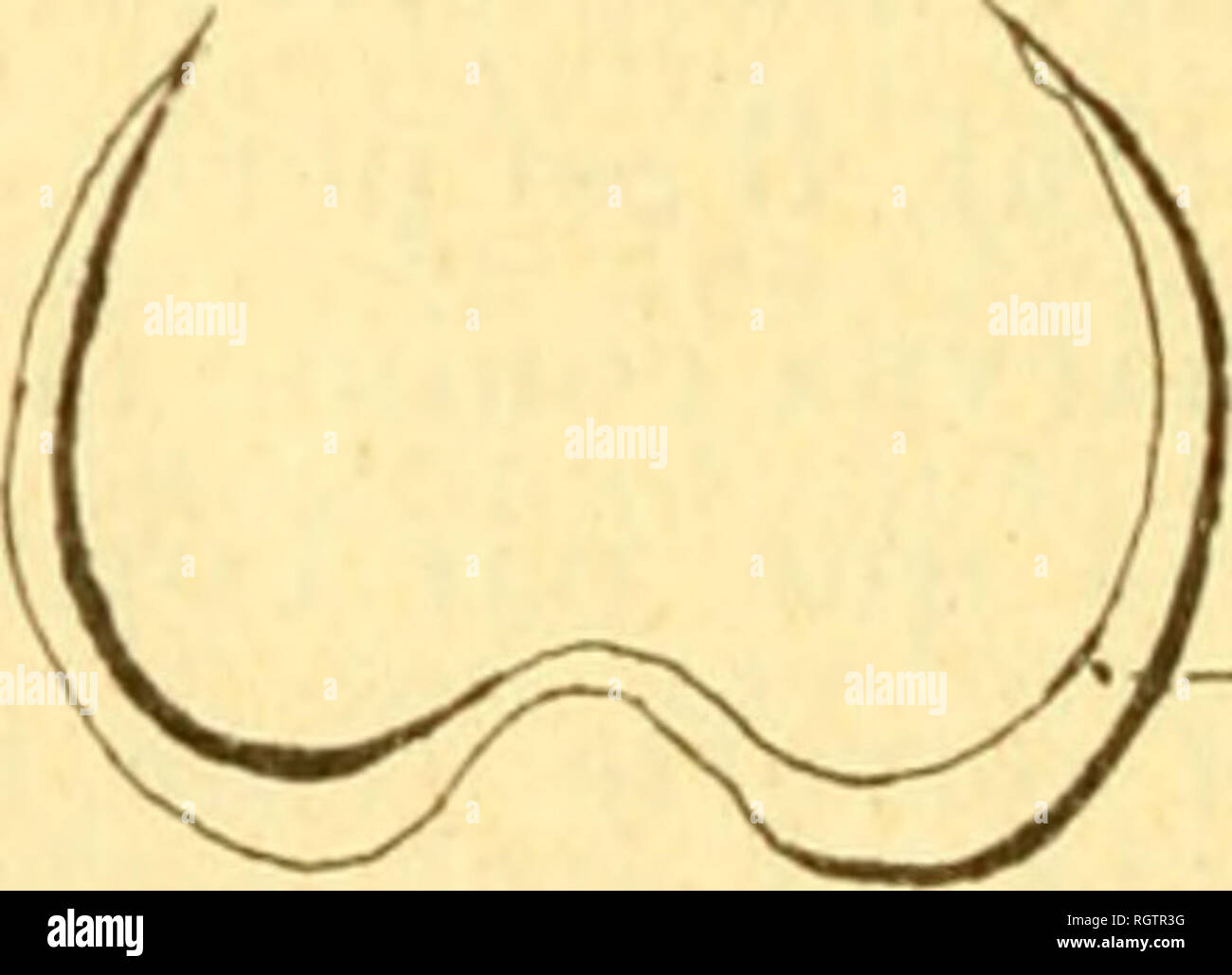 Clivage hi-res stock photography and images - Alamy