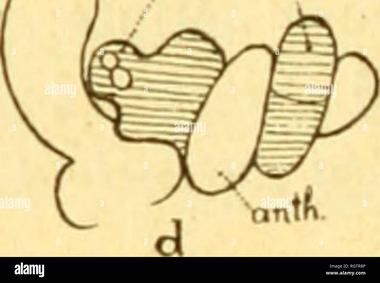 Asques hi-res stock photography and images - Alamy