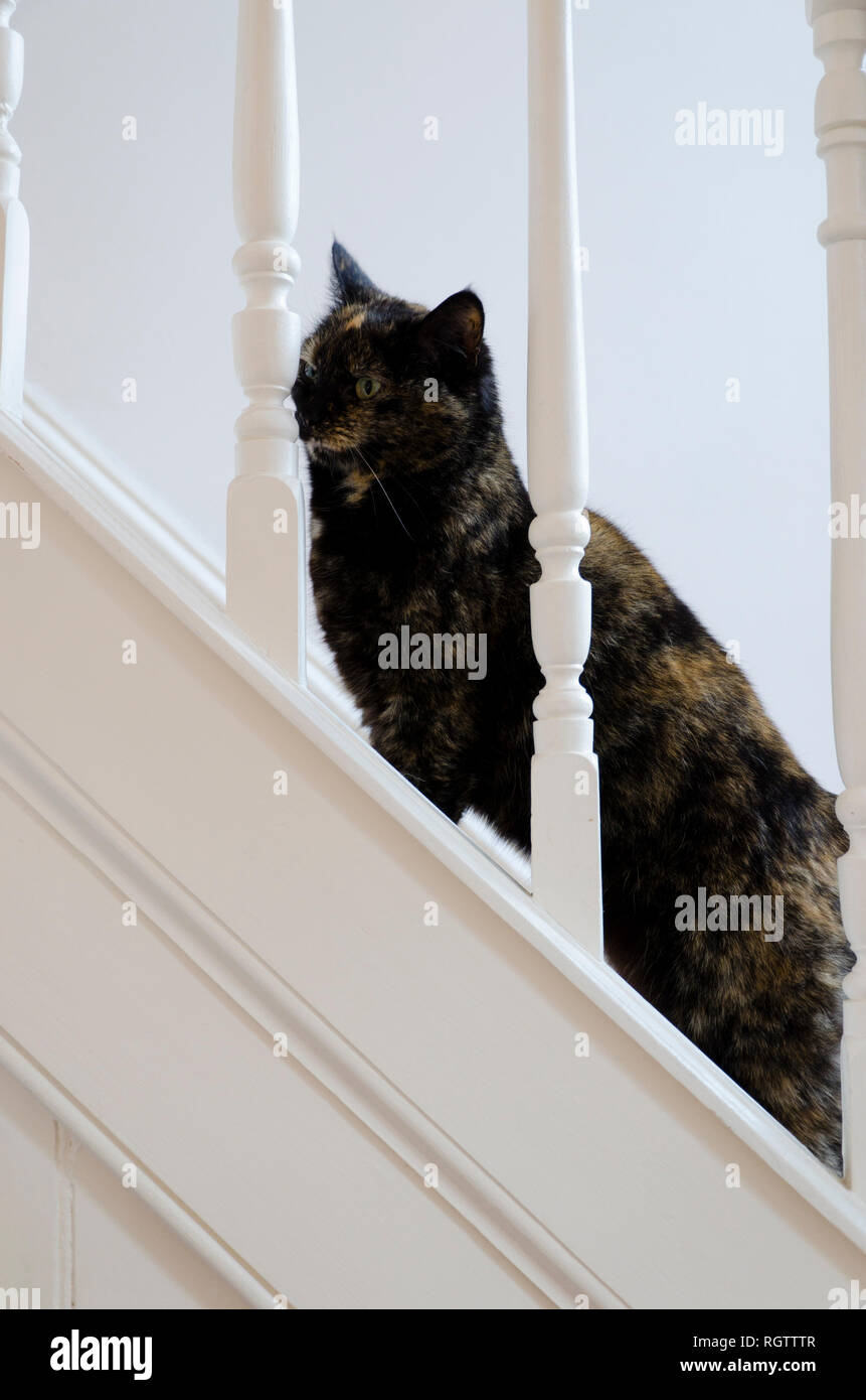 Through banisters hi-res stock photography and images - Alamy