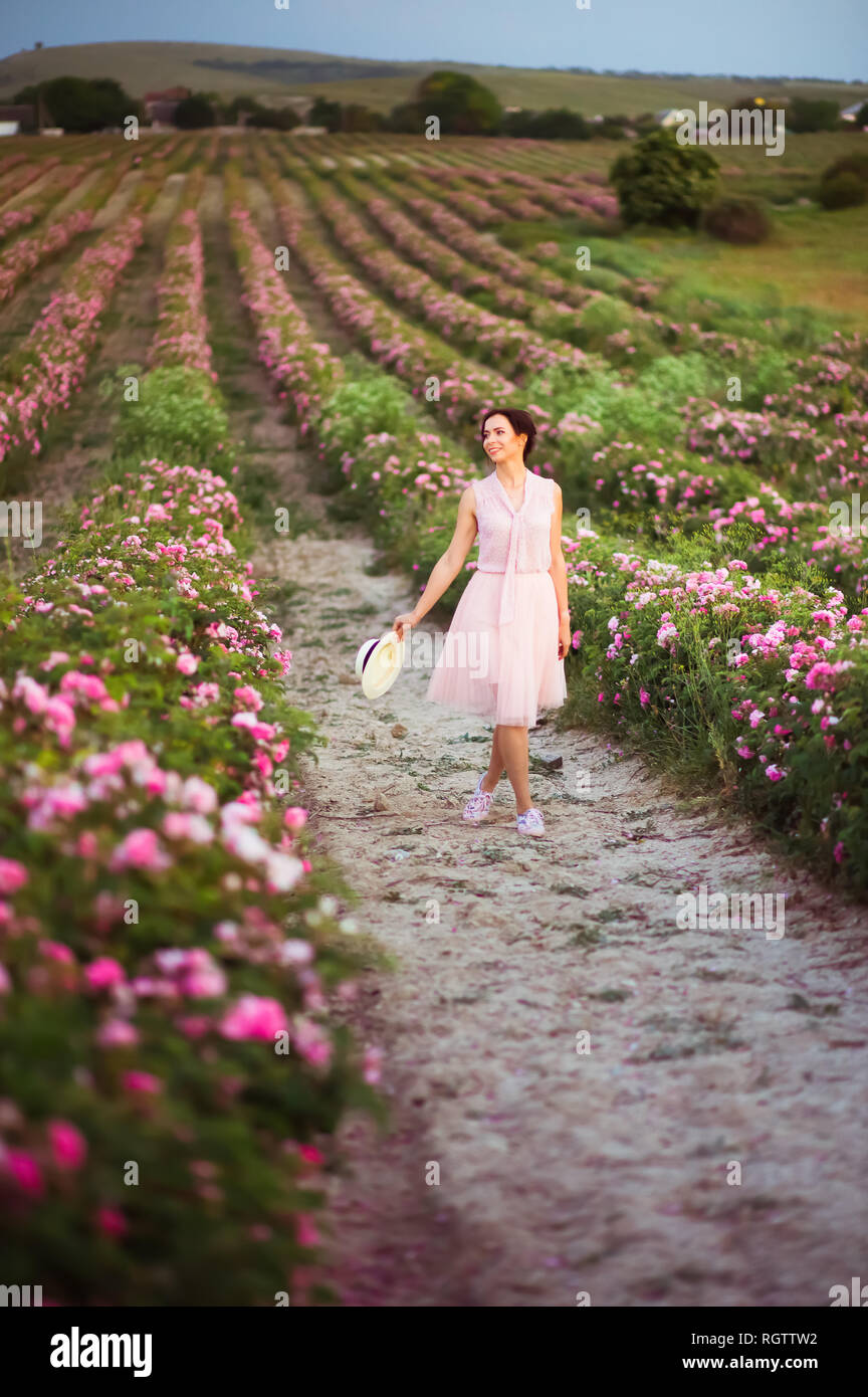 Running rose hi-res stock photography and images - Alamy