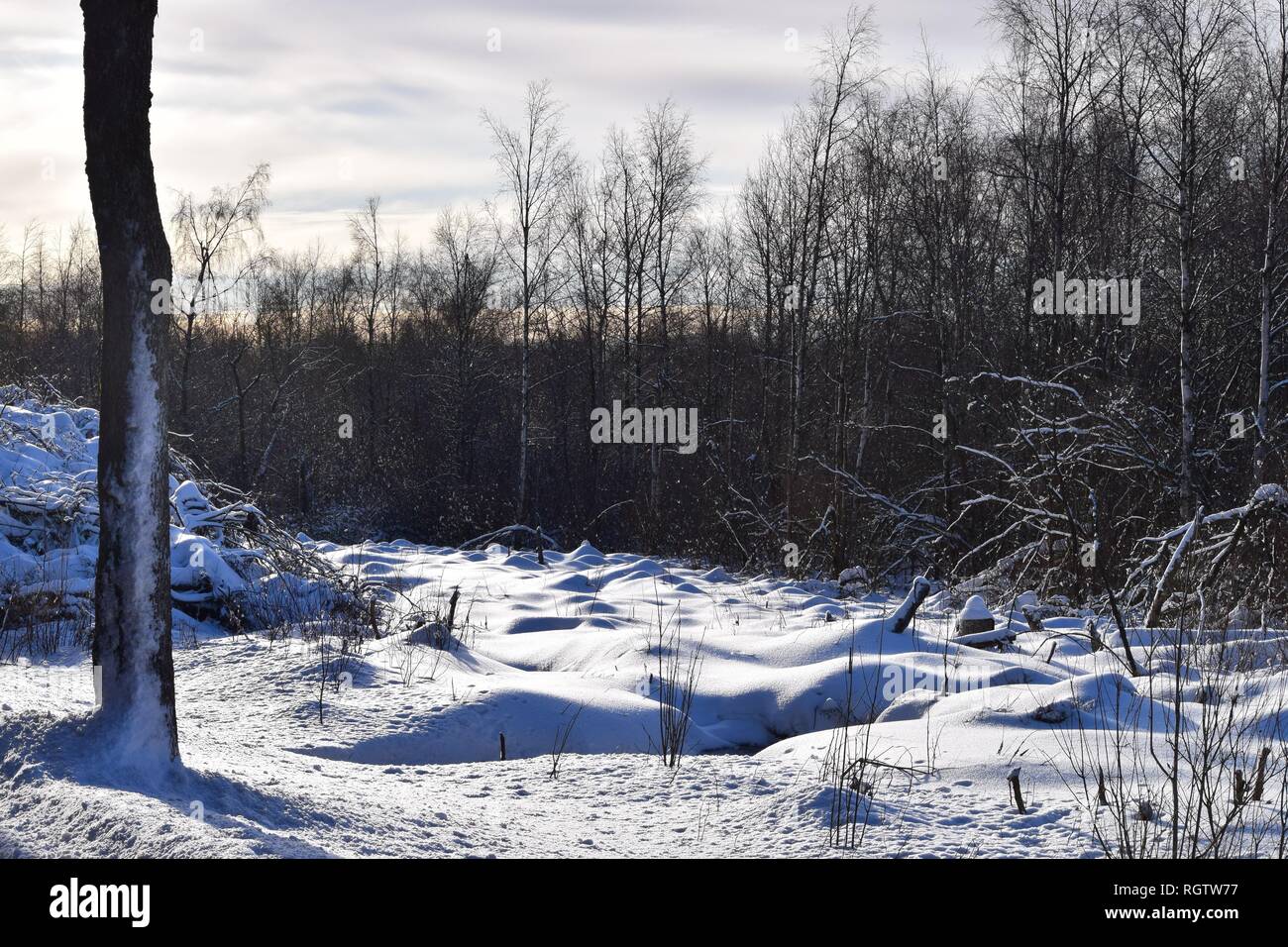 Deep snow fascination hi-res stock photography and images - Alamy