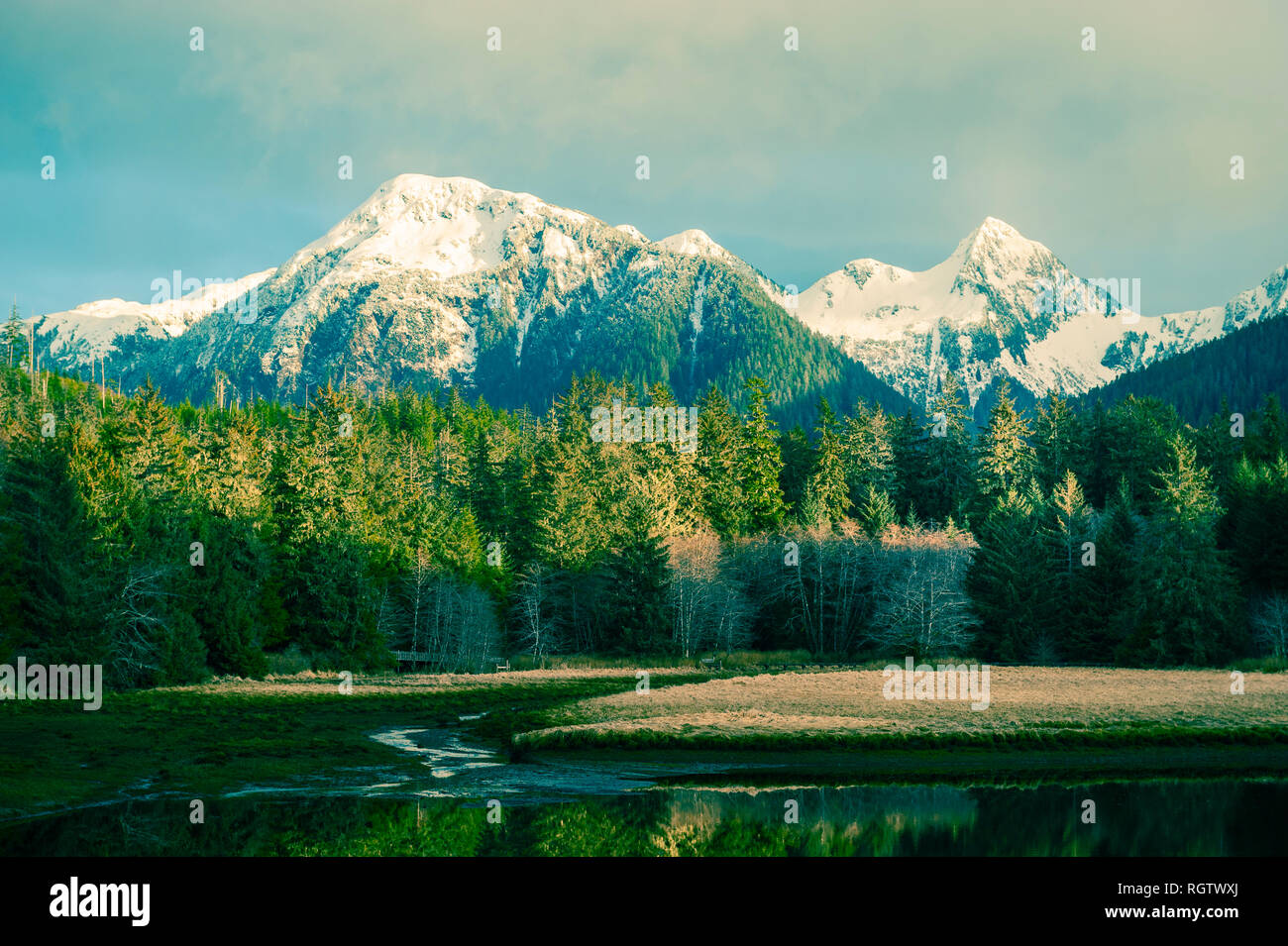 Tongass national forest hi-res stock photography and images - Alamy