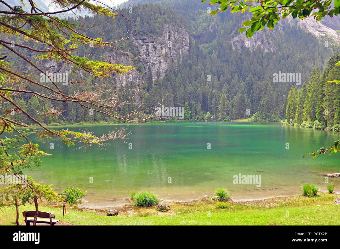 Amazing green water of Alpine lake, Italy Stock Photo - Alamy