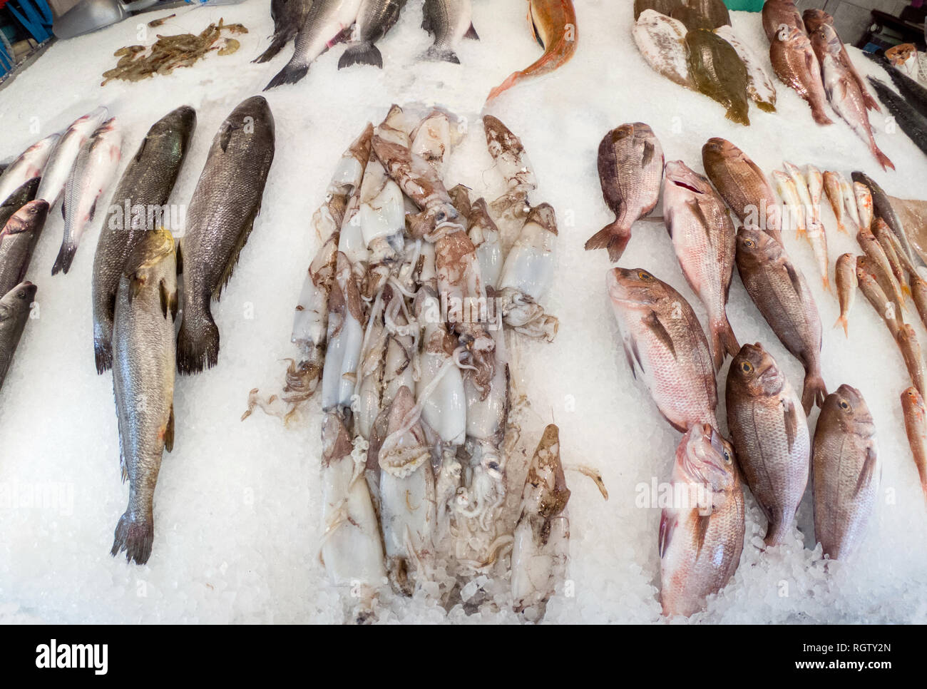 Angle fish nutrition restaurant hi-res stock photography and images - Alamy