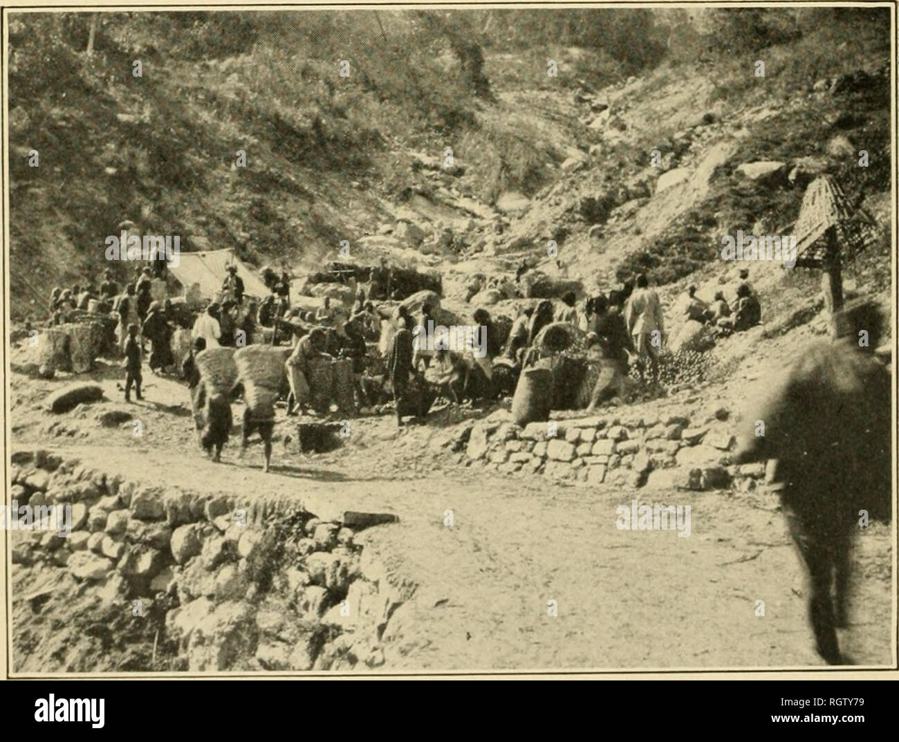 Bulletin. Insects; Insect pests; Entomology; Insects; Insect pests ...