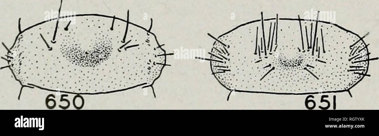 . Bulletin. Natural history; Natural history. 649. Fig. 646 ...