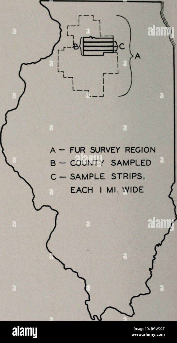 . Bulletin. Natural history; Natural history. Fig. 11.—Map showing the ...