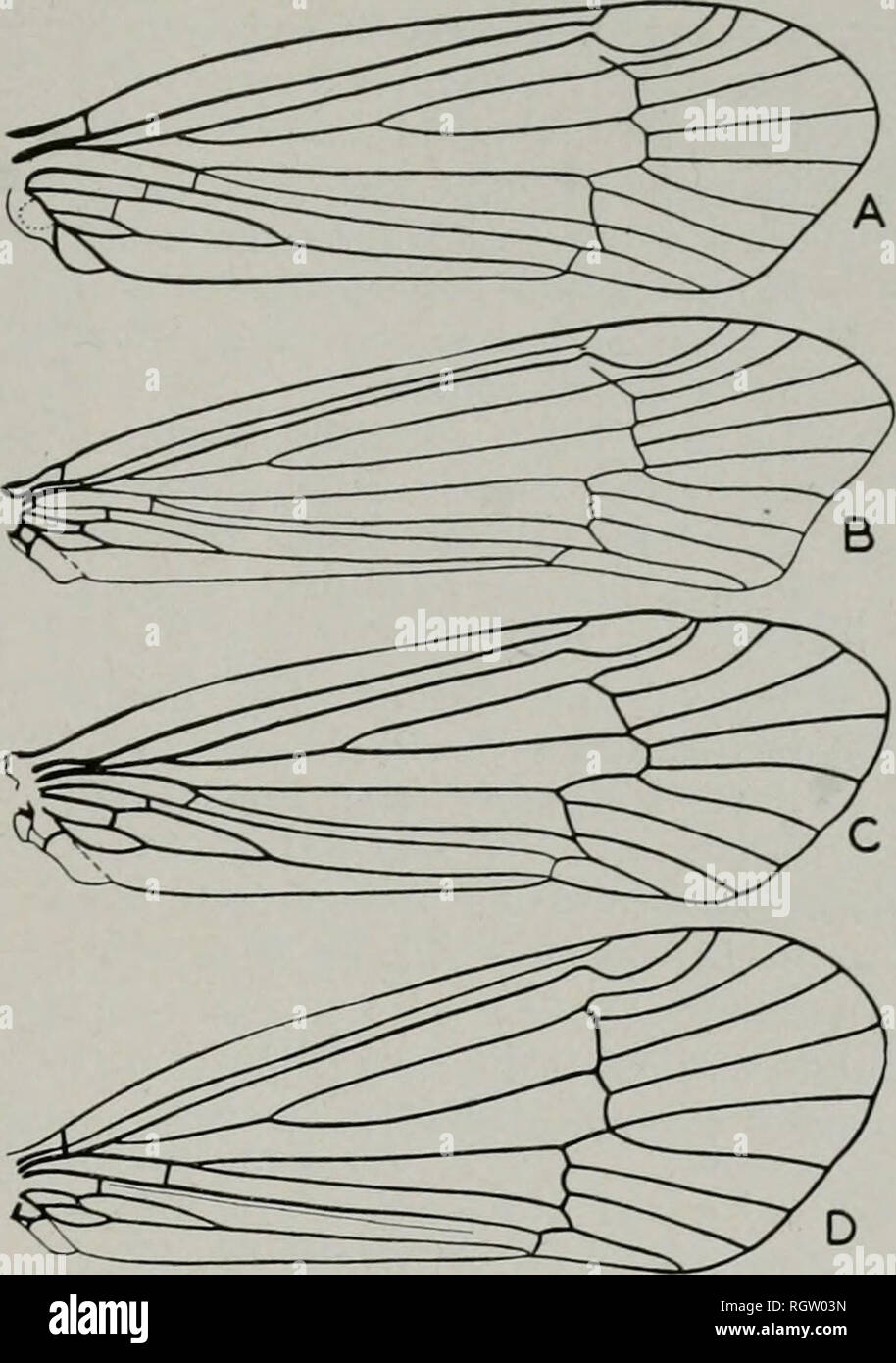 . Bulletin. Natural history; Natural history. 629 630 Limnephilidae ...
