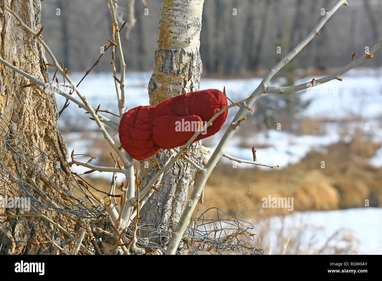 Lost and found single mitten Stock Photo - Alamy