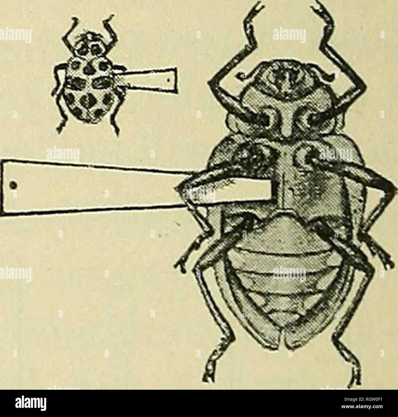 Smaller cardboard glued hi-res stock photography and images - Alamy