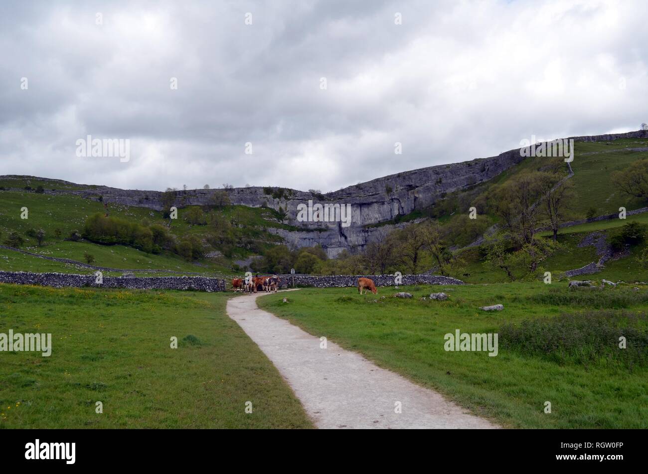 Malham Field View High Resolution Stock Photography and Images - Alamy