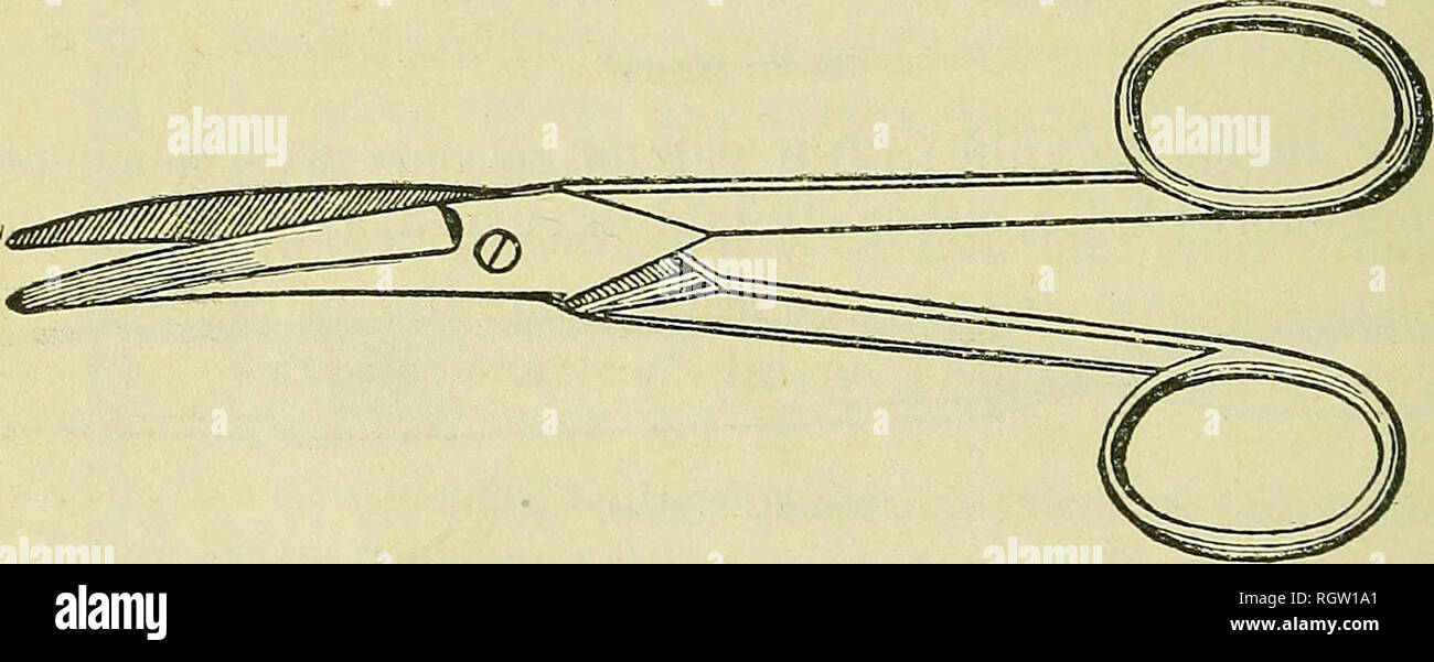 Bird cartilage hi-res stock photography and images - Alamy