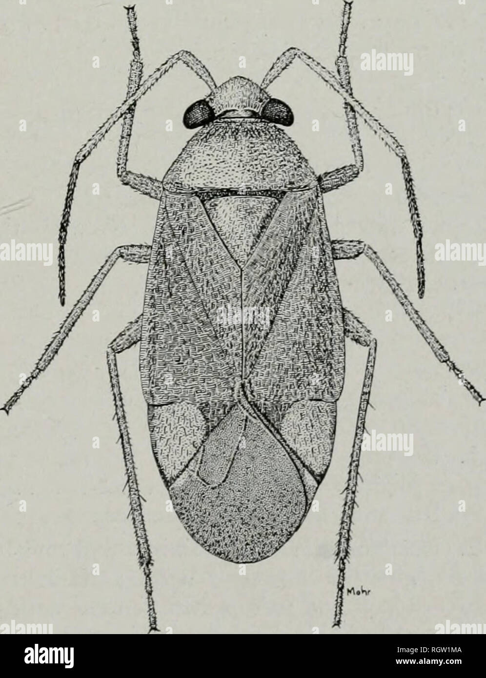 . Bulletin. Natural history; Natural history. September, 1941 Knight ...