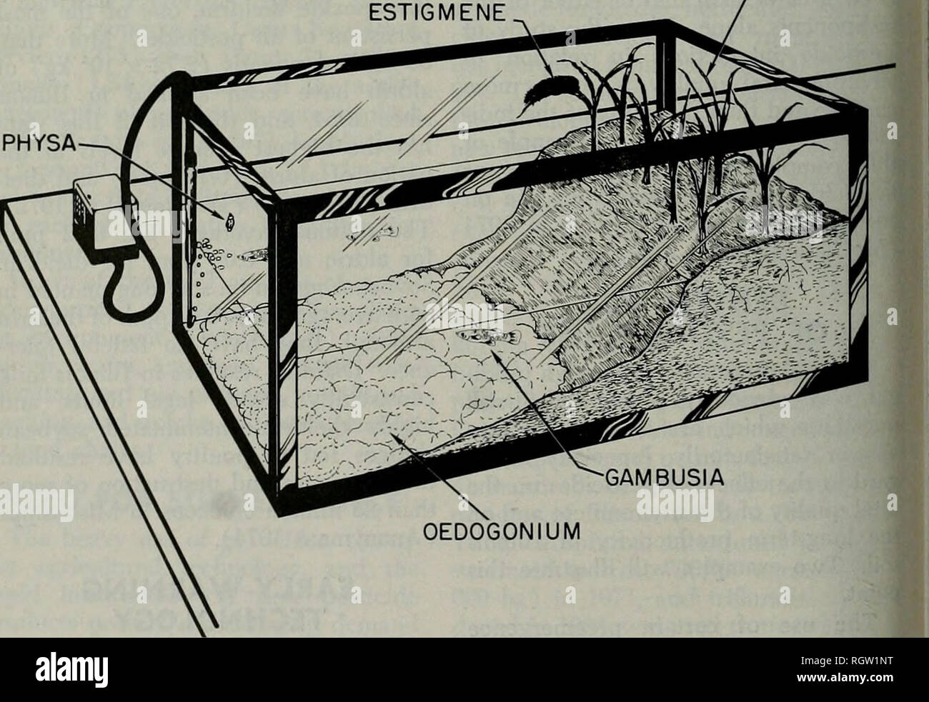 . Bulletin. Natural history; Natural history. II 384 Illinois Natural ...