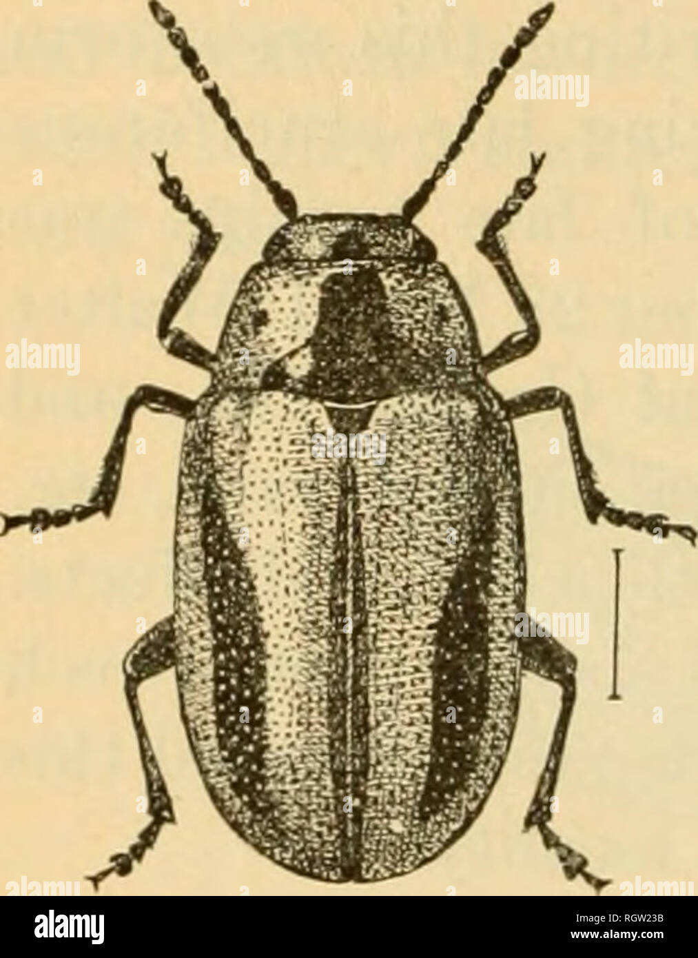 Punctation hi-res stock photography and images - Alamy