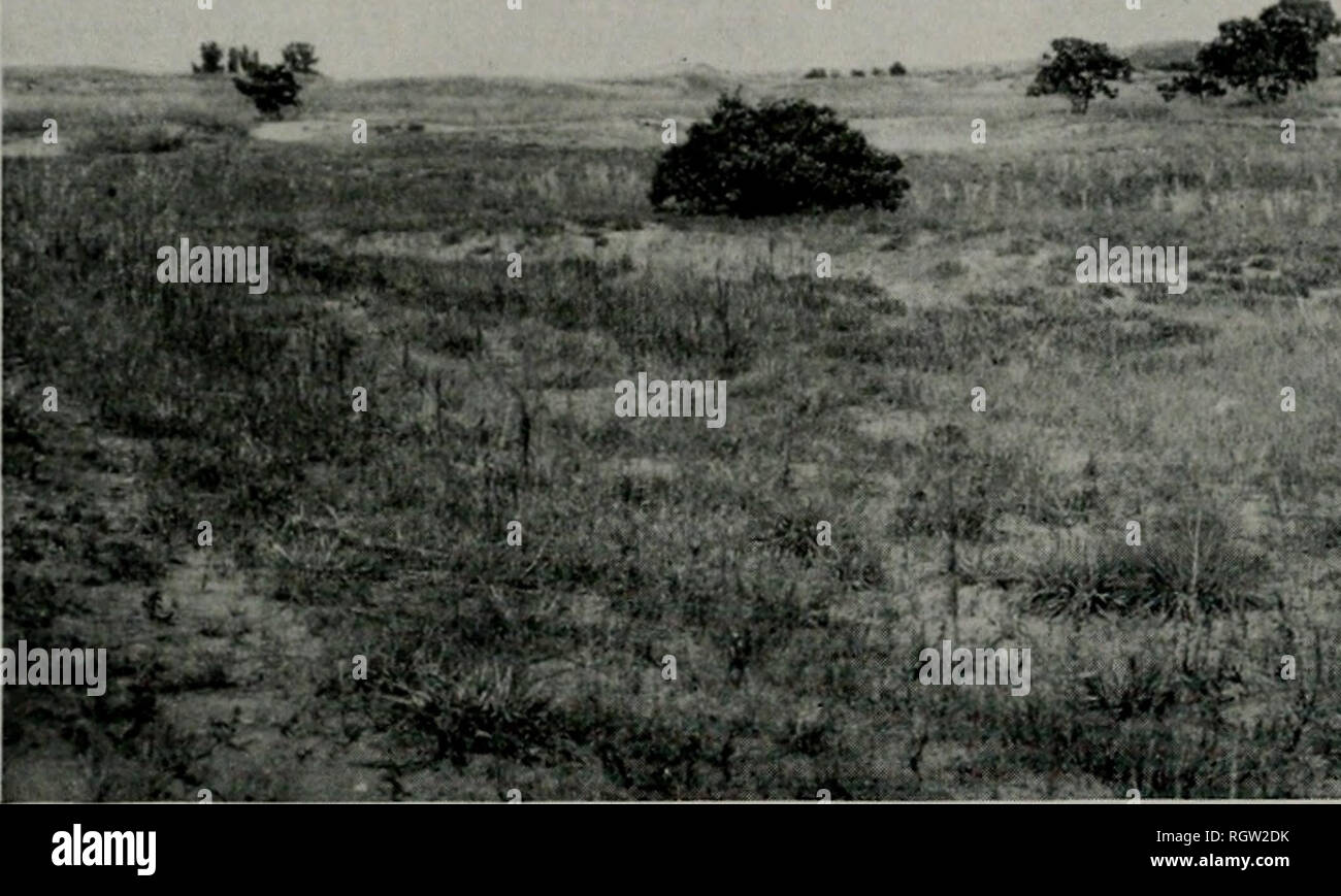 . Bulletin. Natural history; Natural history. 12 Illinois Natural ...