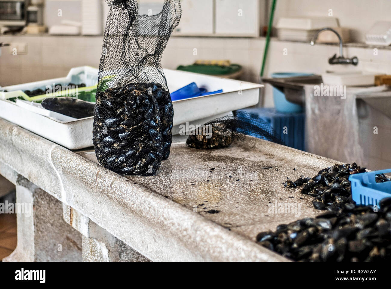 Mahon fish market hi-res stock photography and images - Alamy