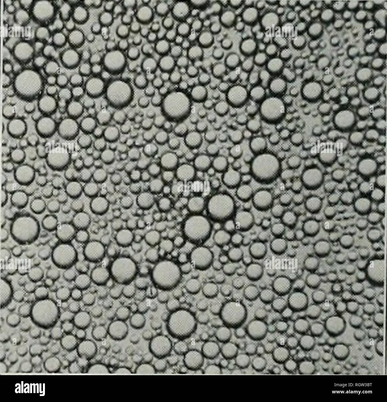 . Bulletin. Natural history; Natural history. n. stock emulsion No. 210 ...