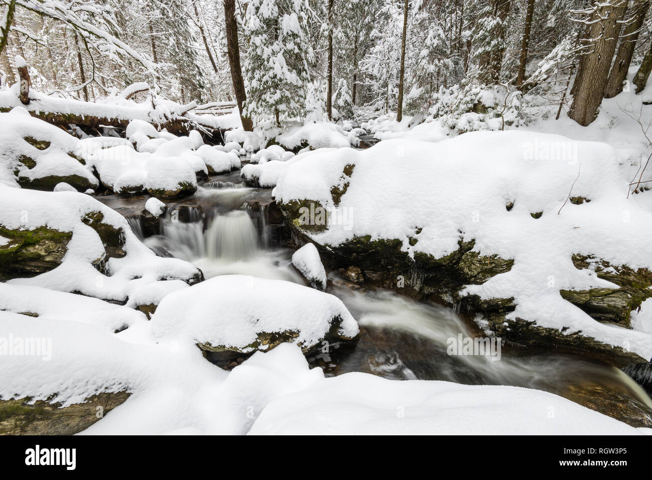 Seebach, Bärental, Schwarzwald, Germany Stock Photo - Alamy