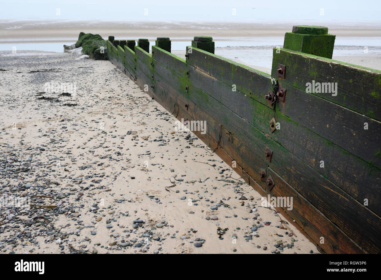 Timber groyne planking green algae hi-res stock photography and images ...