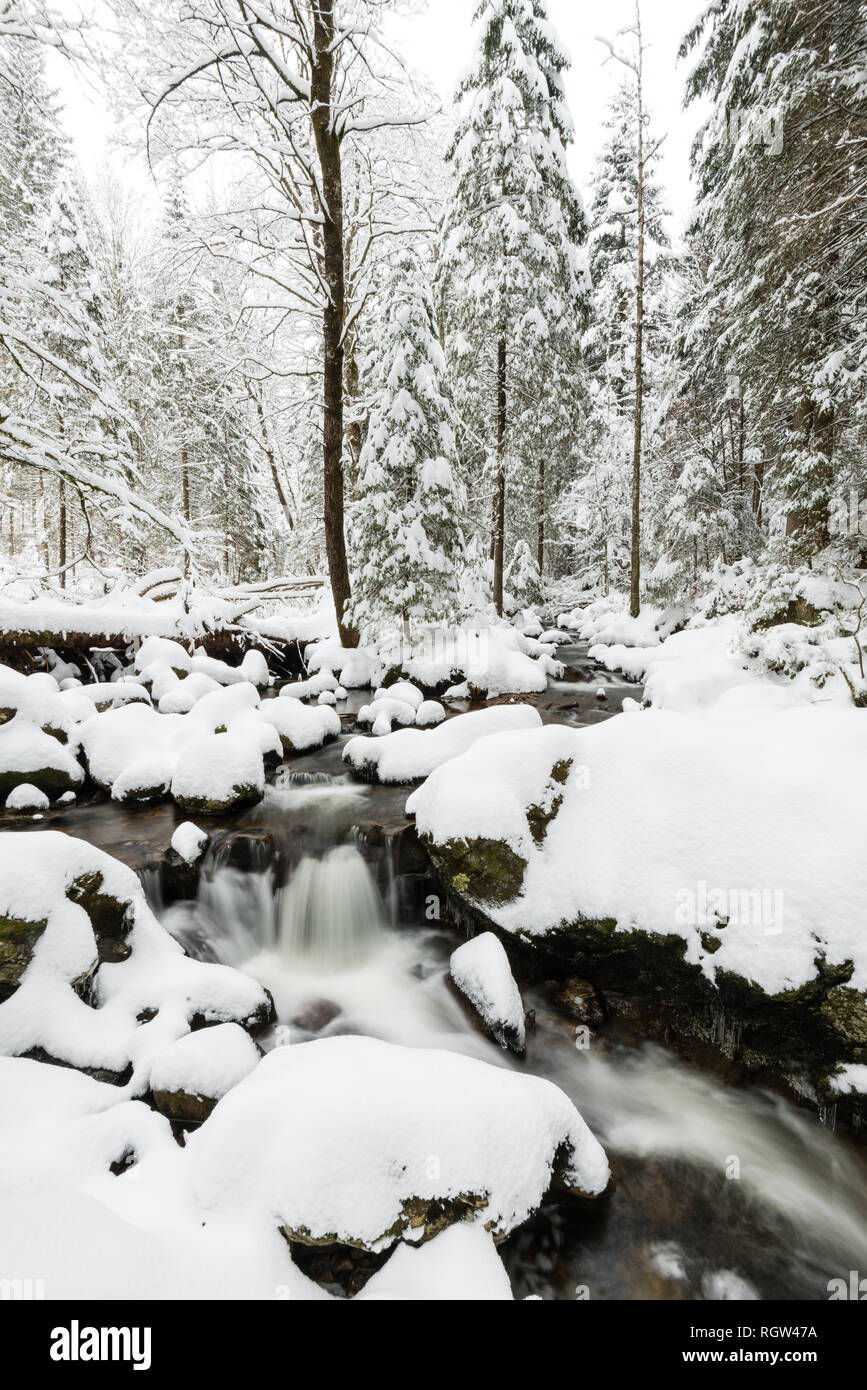 Seebach, Bärental, Schwarzwald, Germany Stock Photo - Alamy