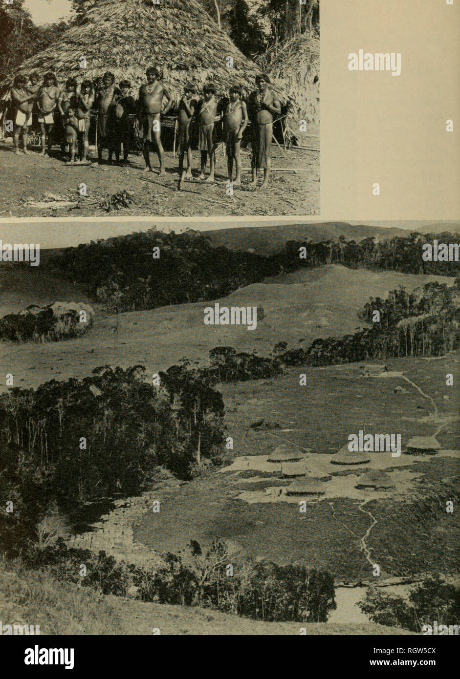 Arecuna hi-res stock photography and images - Alamy