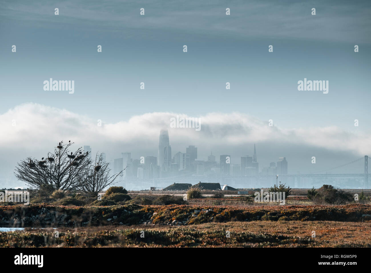 Alameda, california naval air station hi-res stock photography and ...