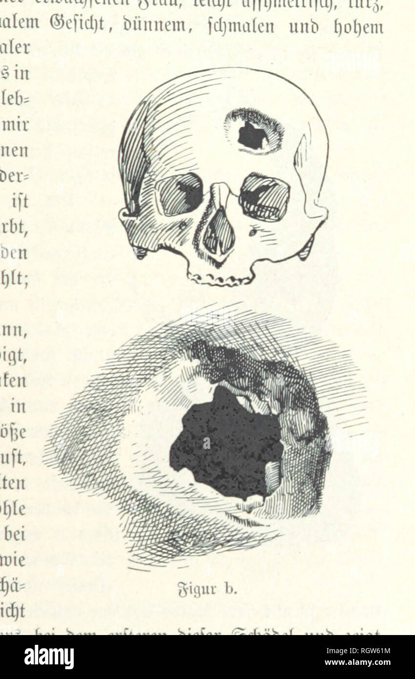 vintage skull drawing Stock Photo - Alamy