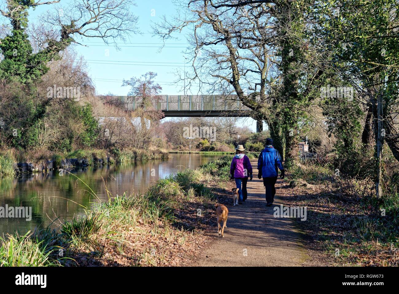 Woking dog hi-res stock photography and images - Alamy