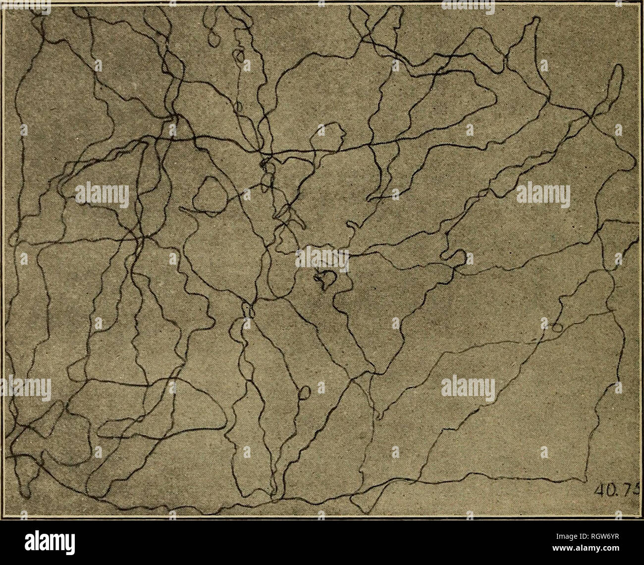 Female laboratory insects hi-res stock photography and images - Alamy