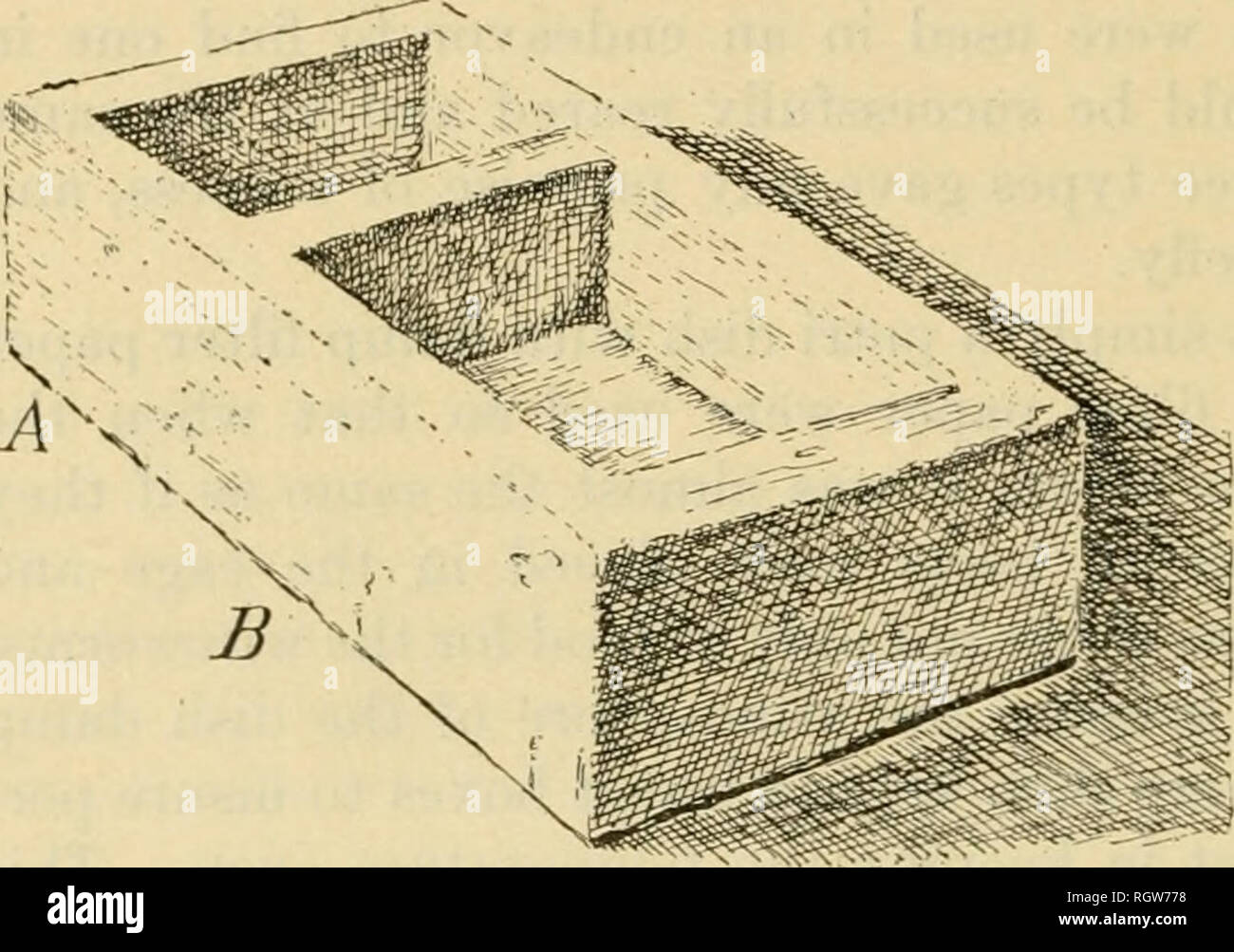 Root cage hi-res stock photography and images - Alamy
