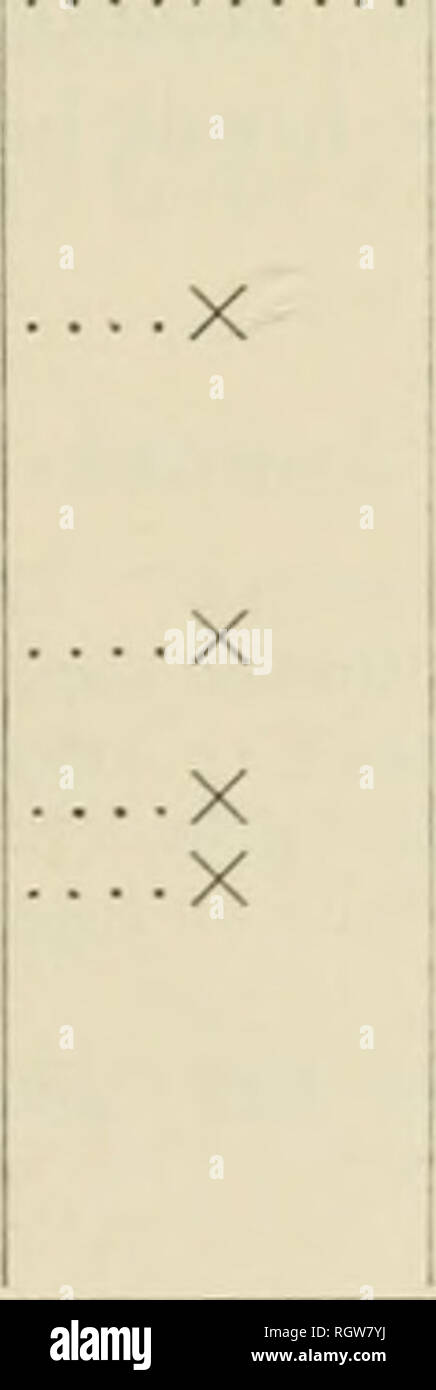 . Bulletin - American Museum of Natural History. Natural history ...