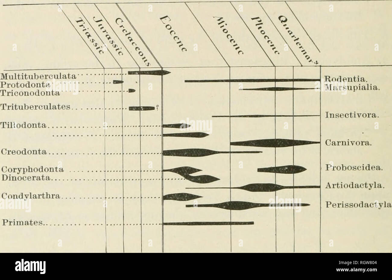 Evolution vii hi-res stock photography and images - Alamy