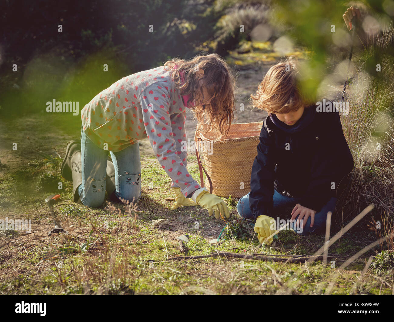 Children picking up garbage in park hi-res stock photography and images ...