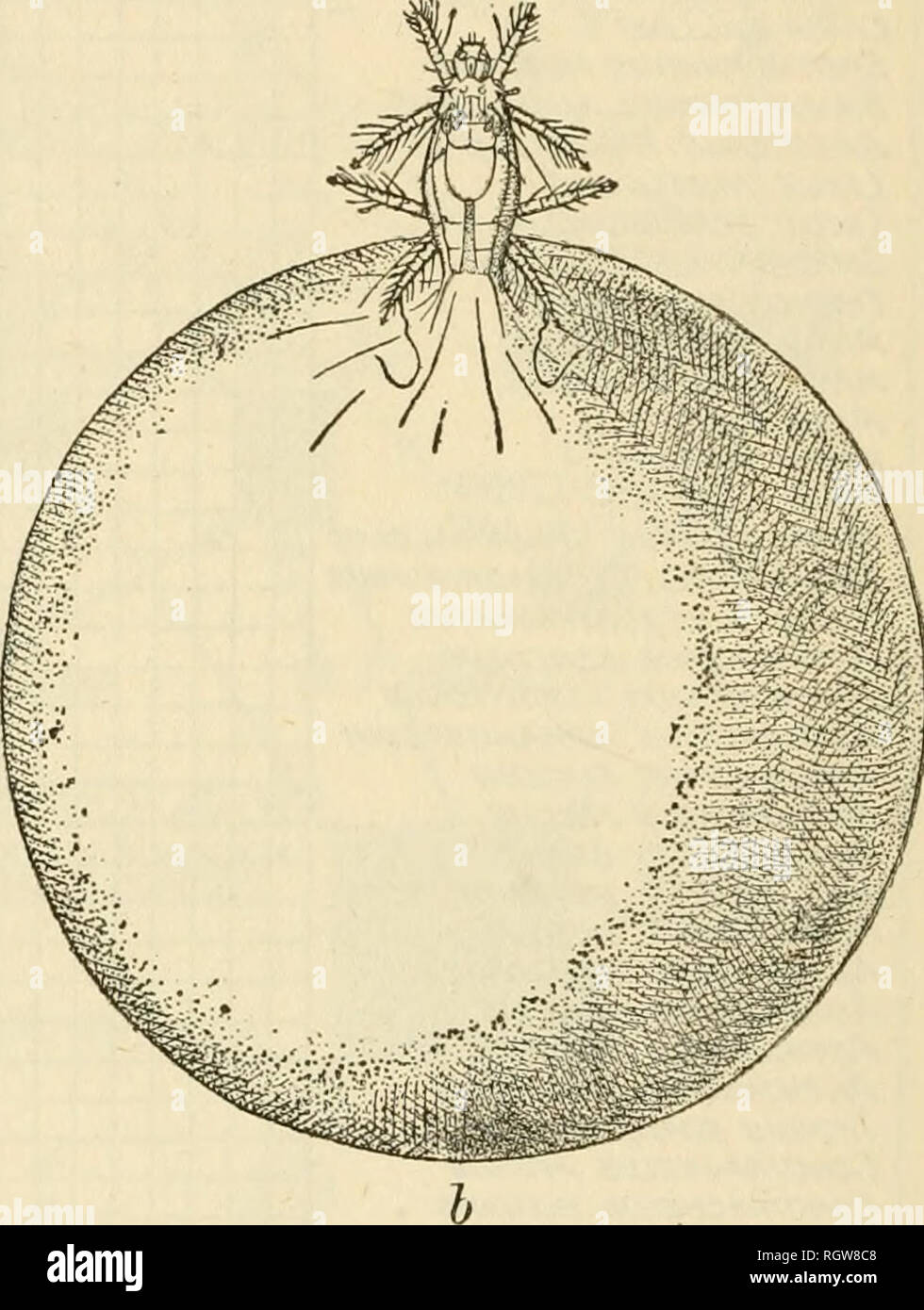 Sp 8 N 17 High Resolution Stock Photography and Images - Alamy