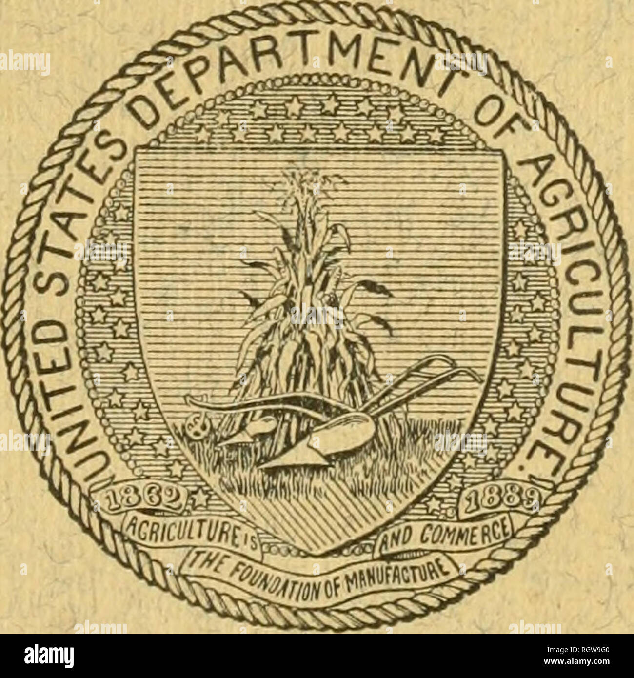 Bean pod borer hi-res stock photography and images - Alamy