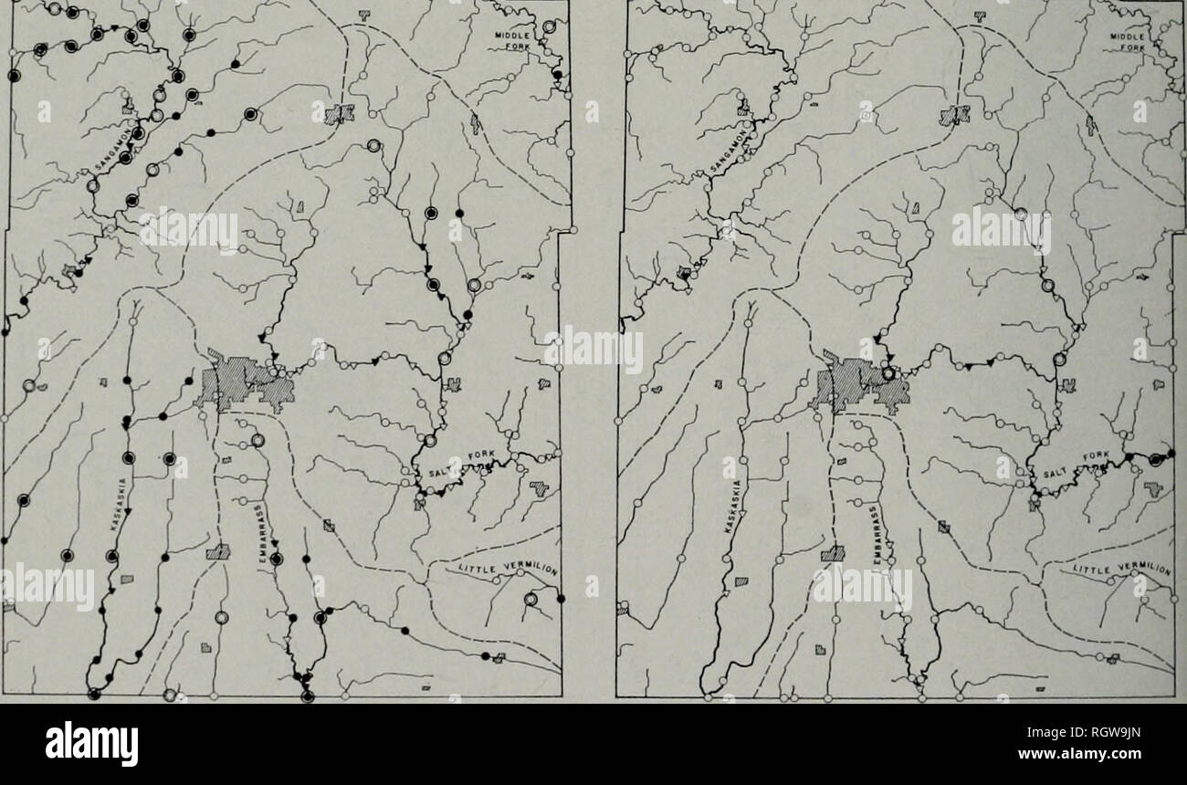 Labidesthes sicculus hi-res stock photography and images - Alamy