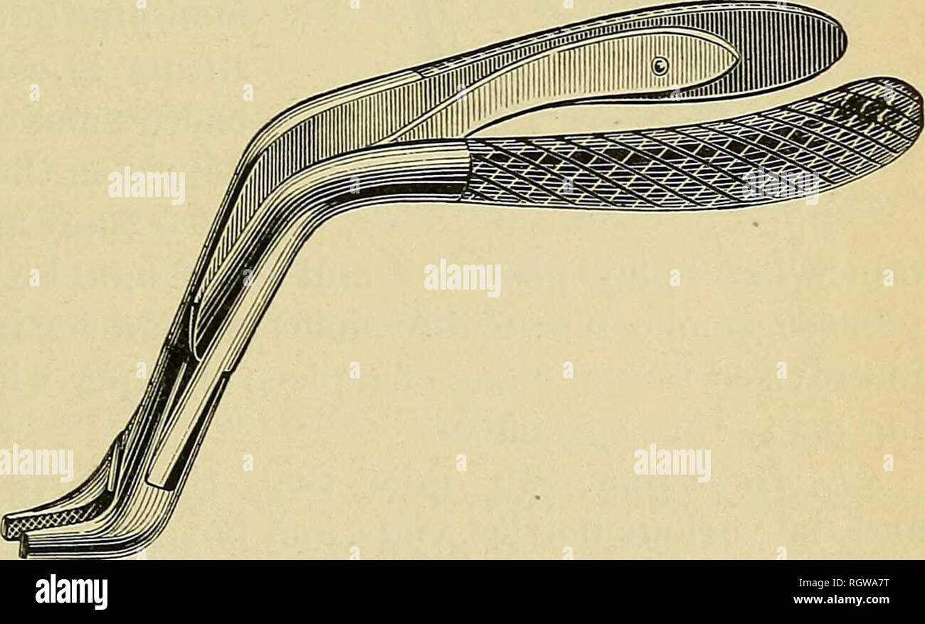 . Bulletin - United States National Museum. Science. Fig. 57.—Pinning ...