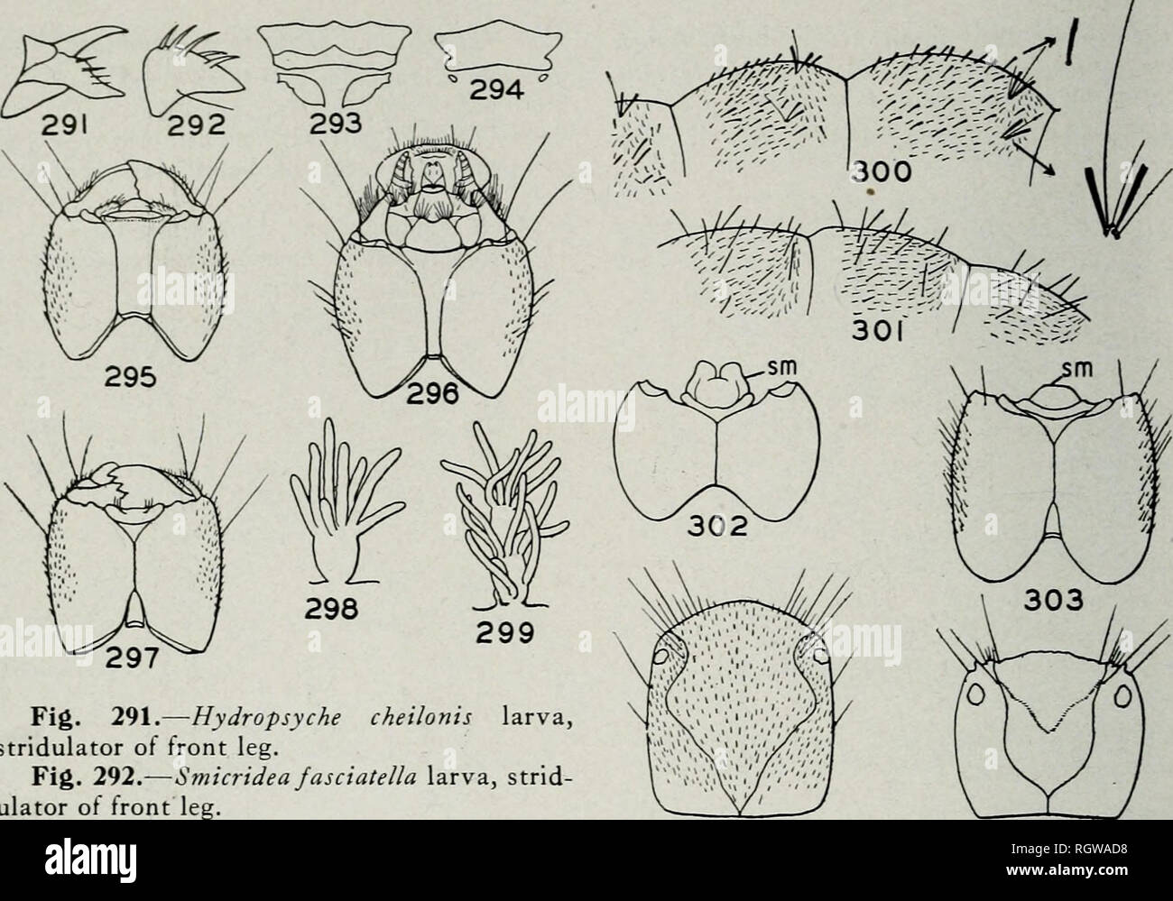 . Bulletin. Natural history; Natural history. 78 Illinois Natural ...