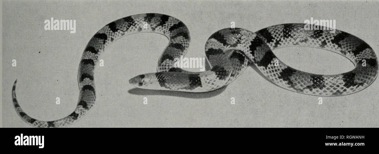 Isabelle Hunt High Resolution Stock Photography and Images - Alamy