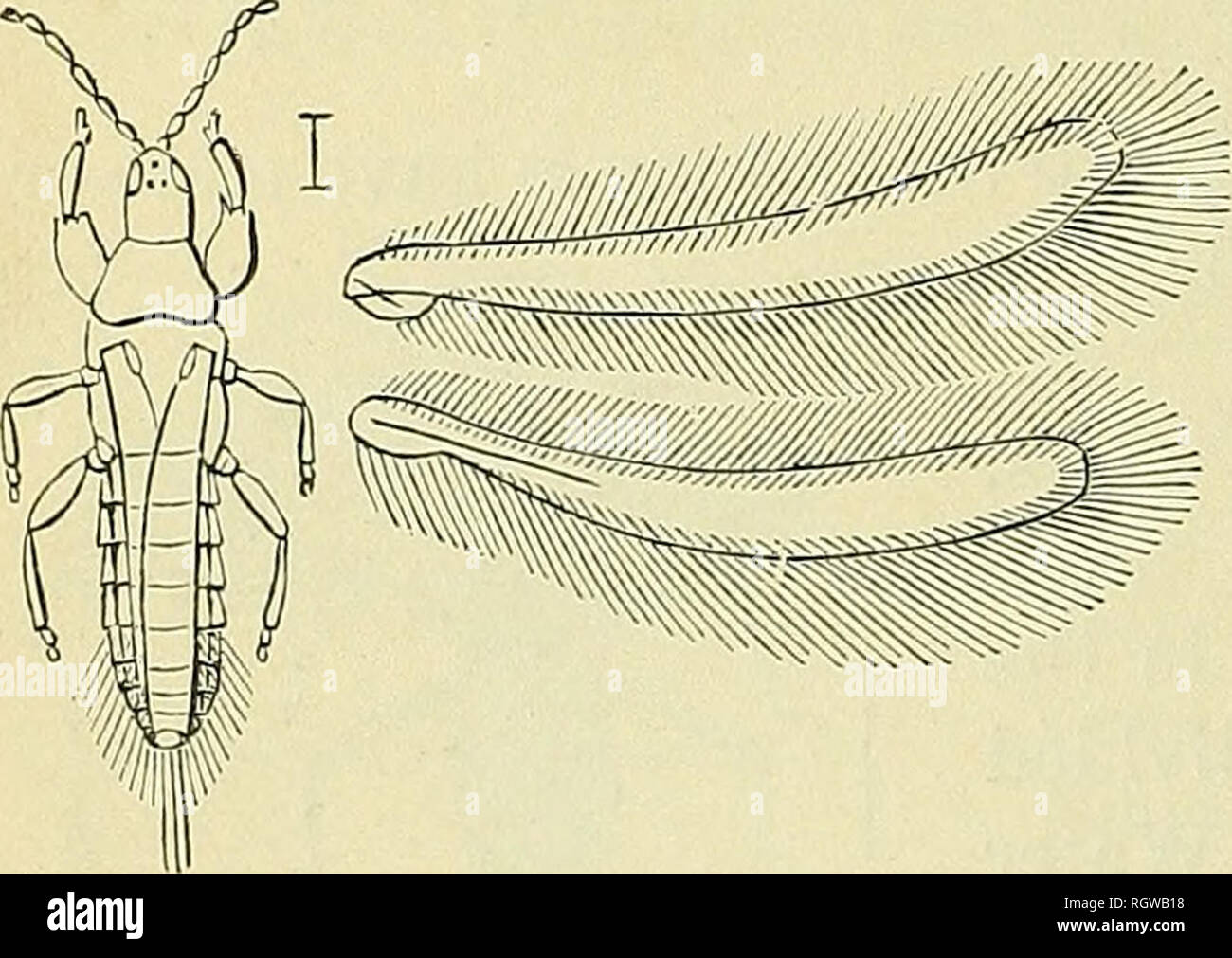 Two contrary states hi-res stock photography and images - Alamy