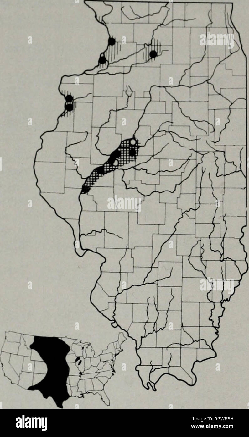 Total area vertical hi-res stock photography and images - Alamy