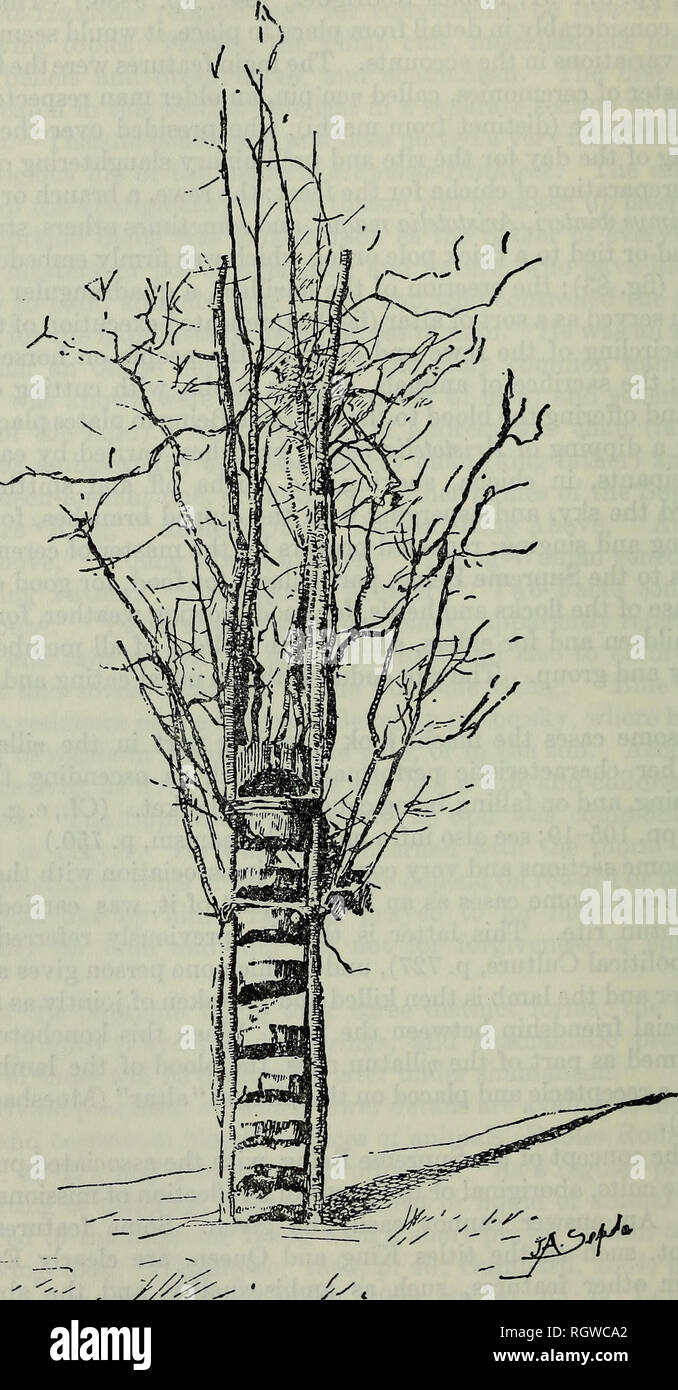 Rewe mapuche hi-res stock photography and images - Alamy