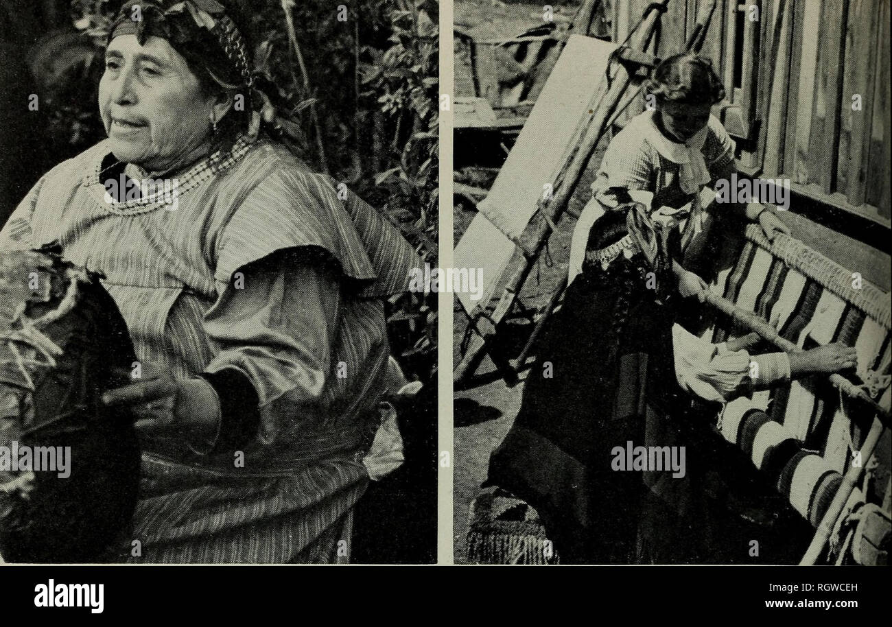 Araucanian mapuche hi-res stock photography and images - Alamy