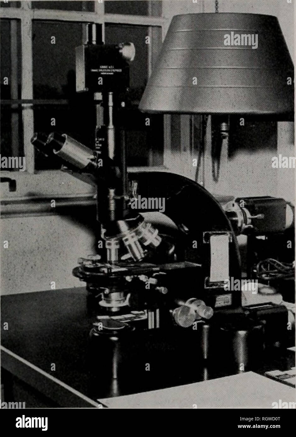 Kohler illumination hi-res stock photography and images - Alamy