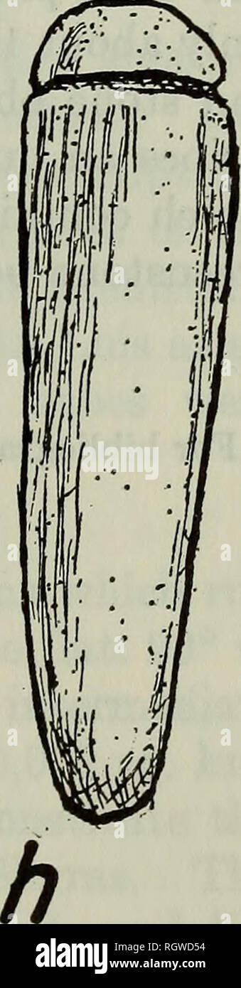 E 125 27 45 hi-res stock photography and images - Alamy