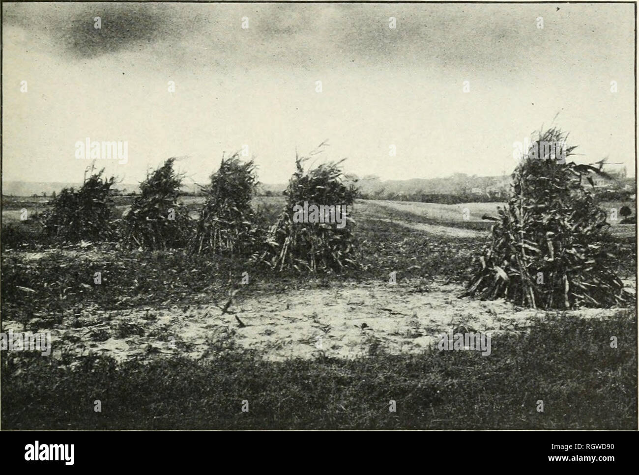 . Bulletin. 1901-13. Agriculture; Agriculture. EXPERIMENTS OF THE ...