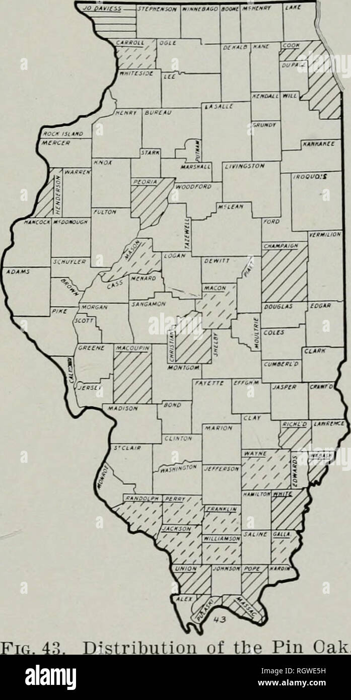 Swamp ash trees mississippi hi-res stock photography and images - Alamy