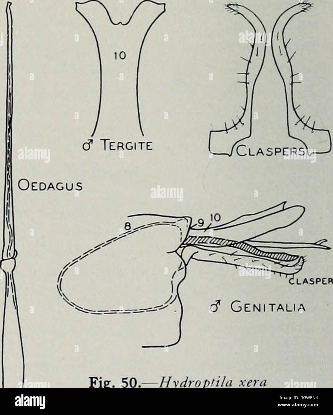 Large bulbous structure hi-res stock photography and images - Alamy