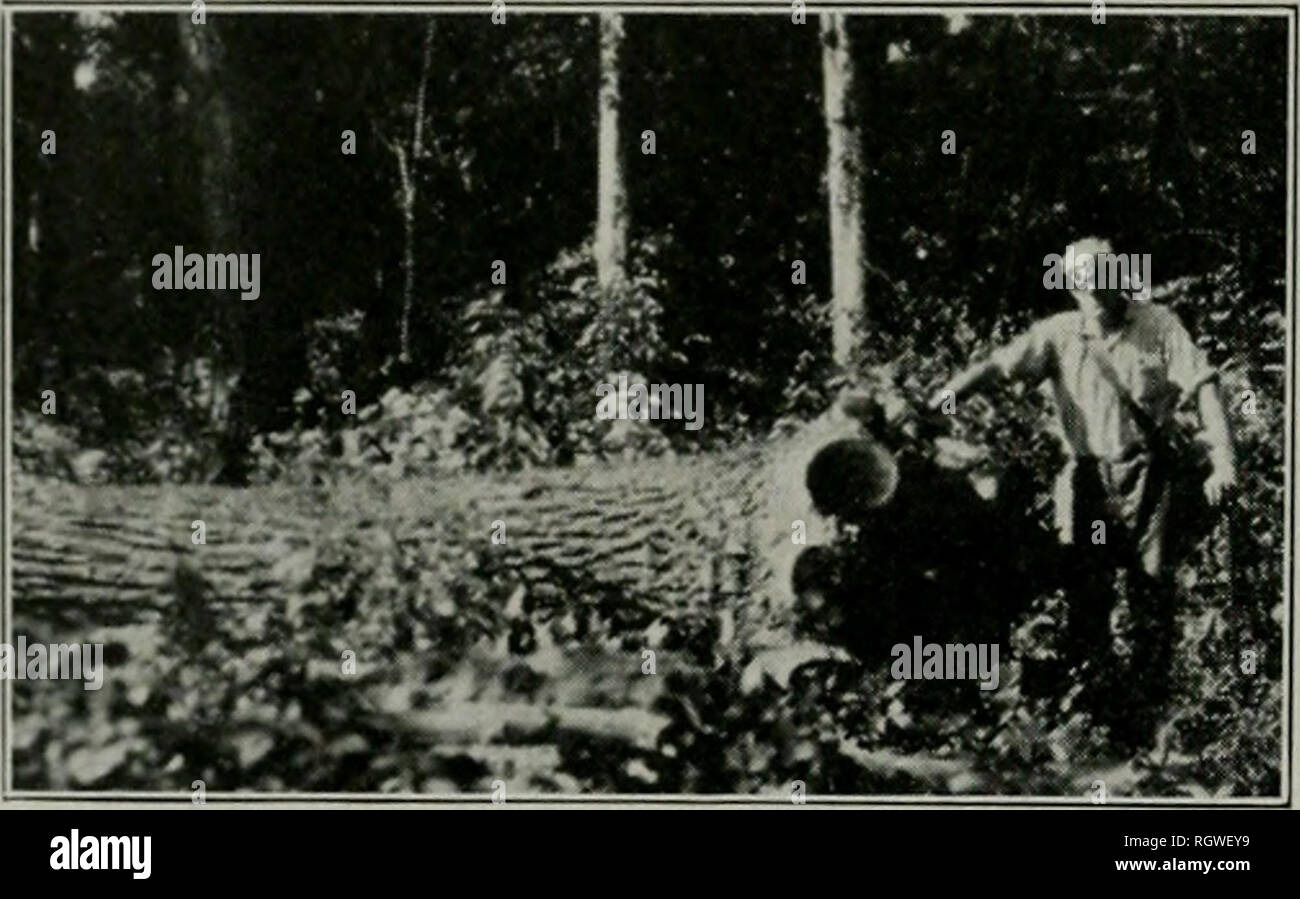 10 lari hi-res stock photography and images - Alamy